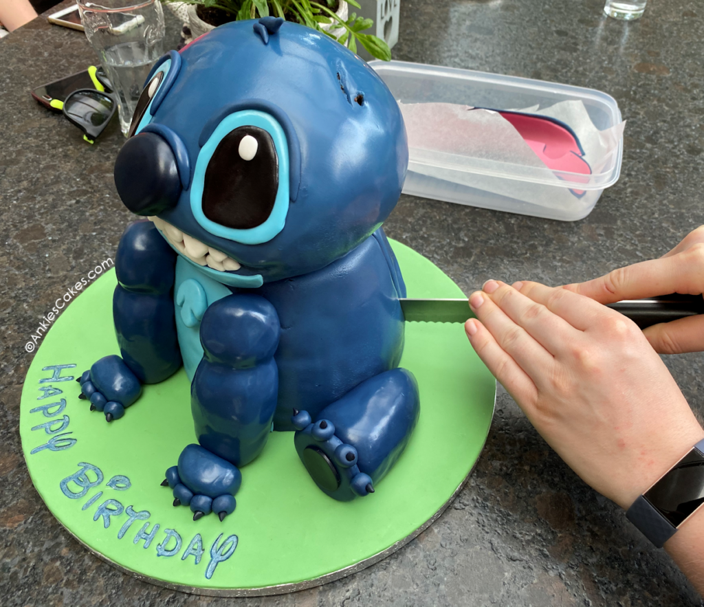 Stitch Cake – Ankie's Cakes
